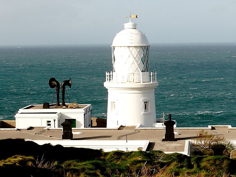 Pendeen guide to watching dolphins seals Basking Shark and seabirds ...