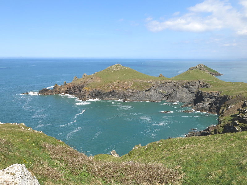 The Rumps and Pentire Point guide to watching dolphins, seals, Basking ...
